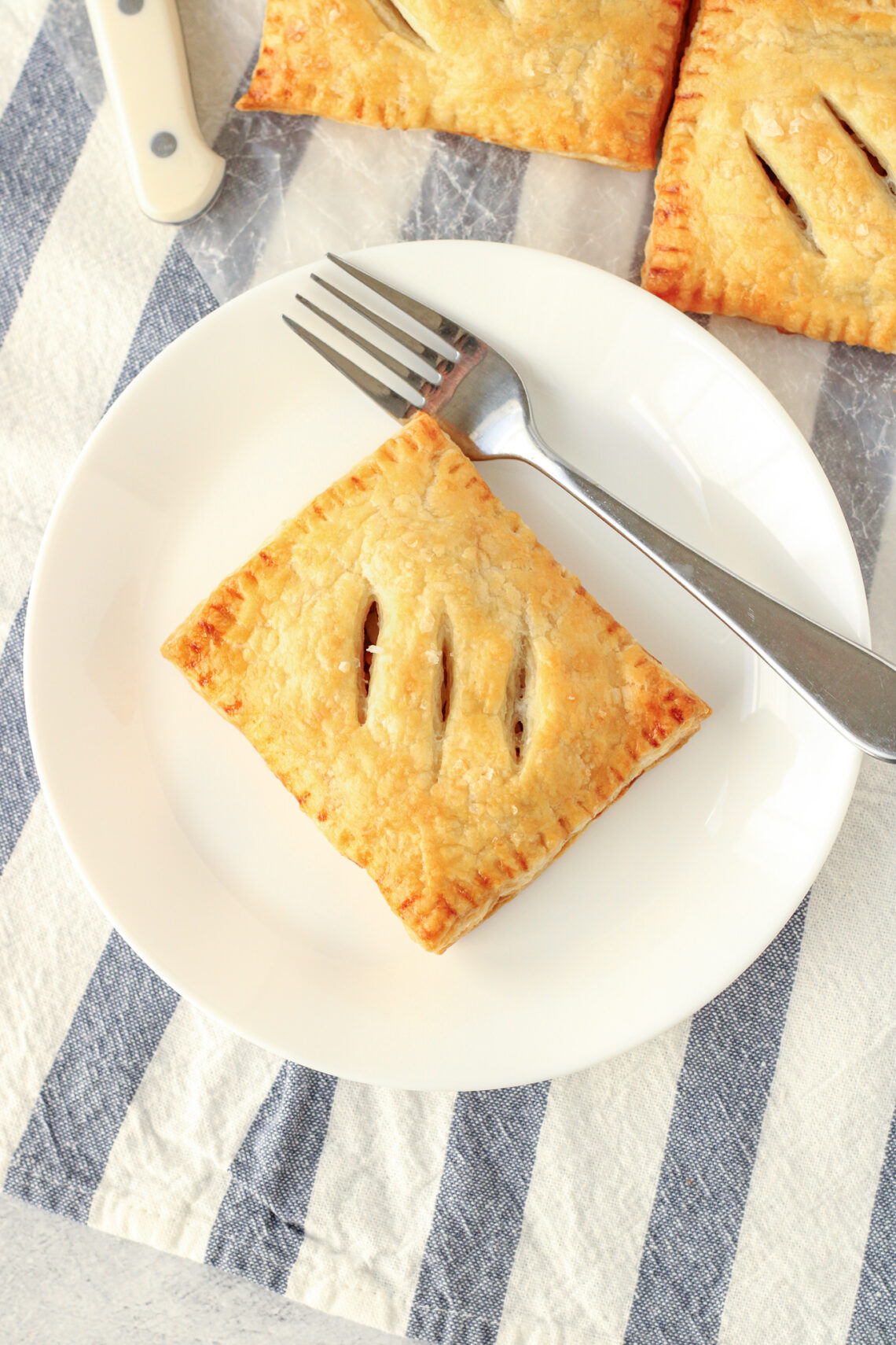 Savory Hand Pies with Flaky Pastry - Bakes and Blunders